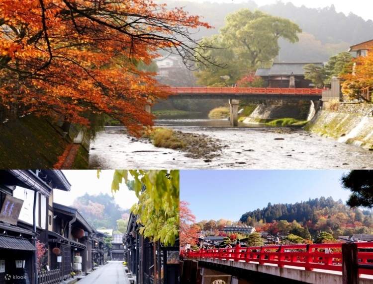 Tour xe buýt một ngày của Shirakawago và Hida Takayama với bữa ăn thịt bò Hida từ Nagoya - Klook ...