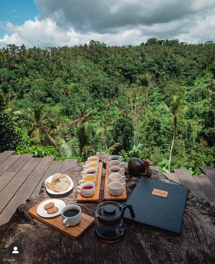 Sunrise Yoga Experience in Ubud - Klook