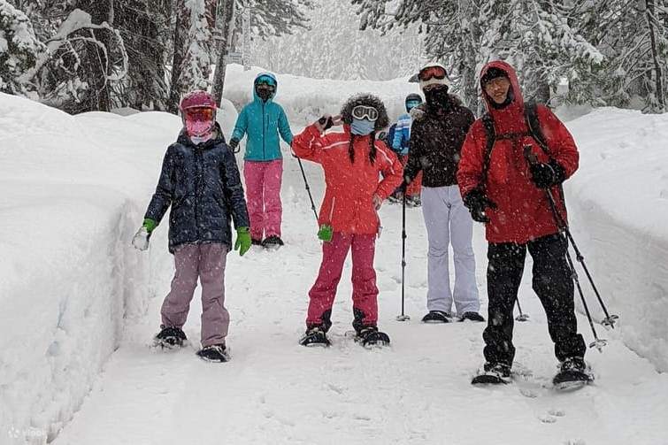 Beginner and Family Snowshoeing Tour - Klook