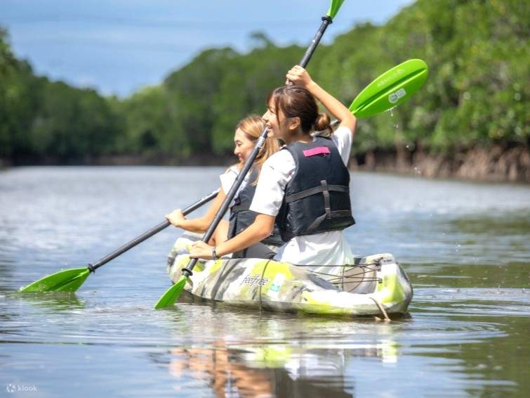 Iriomote Island Yubu Island sightseeing & selectable activity 1 day ...