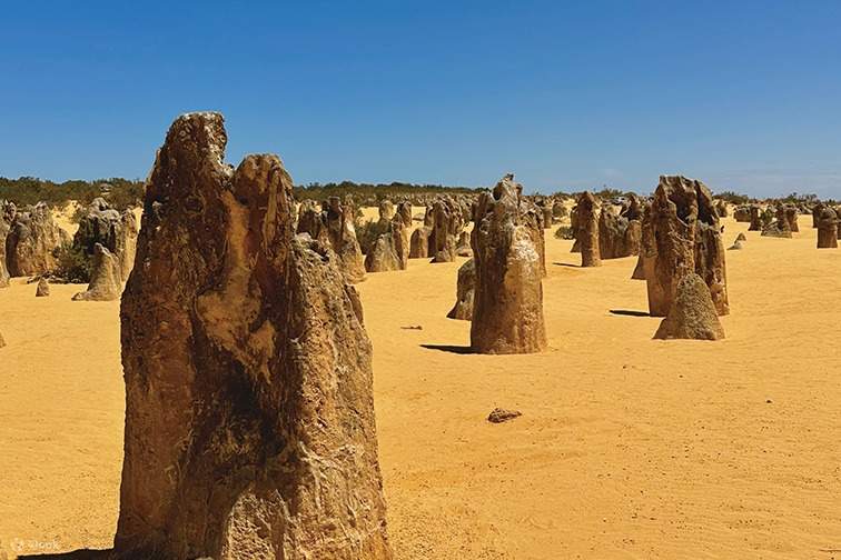 2D1N Pink Lake, Natures Window, Pinnacles & Lancelin Tour - Klook ...