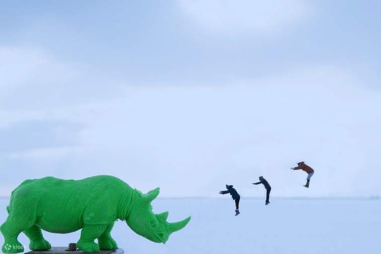 Ice Horizon Walk: Frozen Sea Adventure of Notsuke Peninsula - Klook ...