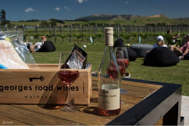 New Zealand Farm Trip with Lunch and Winery Day Tour - Klook