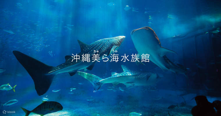 万座毛＆古宇利岛＆美丽海水族馆一日游 Klook客路