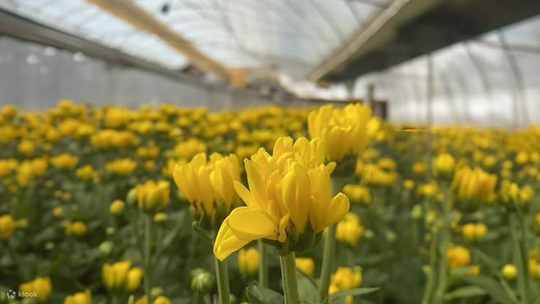 Tabuk City Tour - Klook Philippines