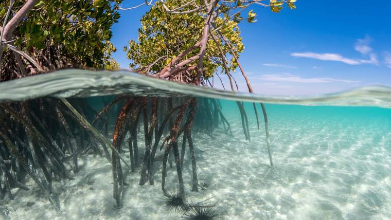 Farasan Island Sea Trip - Klook Australia