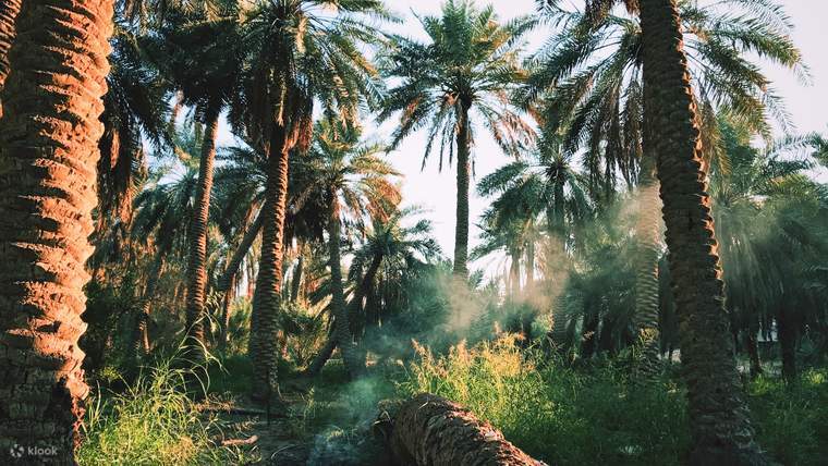 Al Ahsa City Tour - Klook United Kingdom