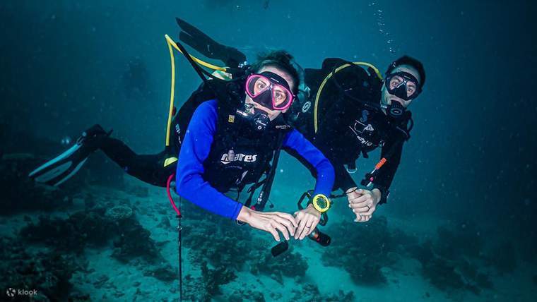 Scuba diving experience in Jeddah - Klook Australia
