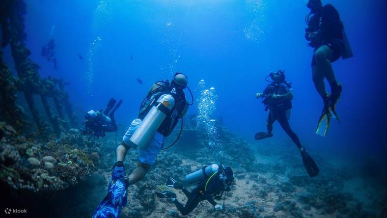 Scuba Diving Trip in Jeddah for Certified Divers - Klook United States