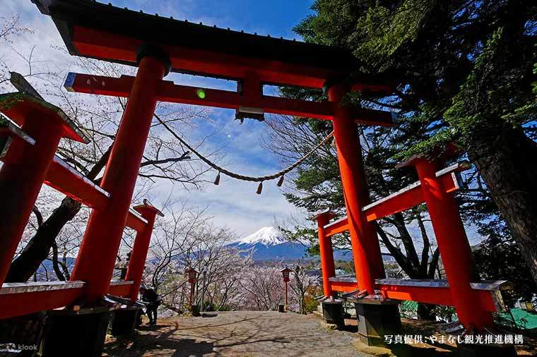 Tour in autobus di un giorno del Monte Fuji, del Parco Oishi e del ...