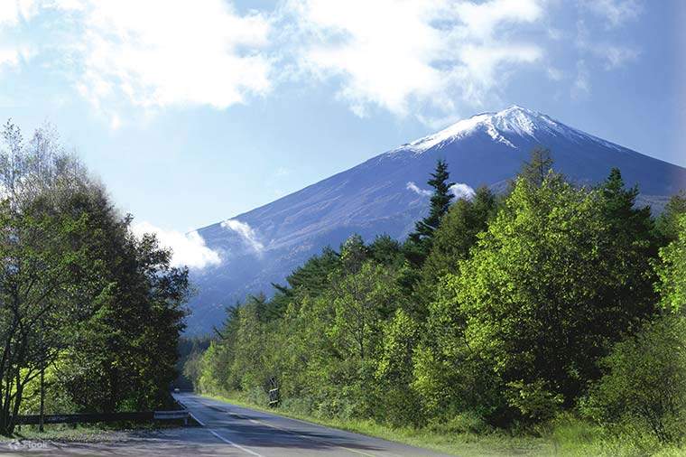 Tour in autobus di un giorno del Monte Fuji, del Parco Oishi e del ...