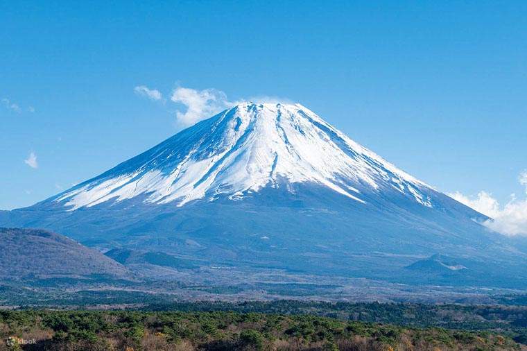 Eintägige Bustour ab Tokio zum Berg Fuji, zum Oishi-Park und zum ...