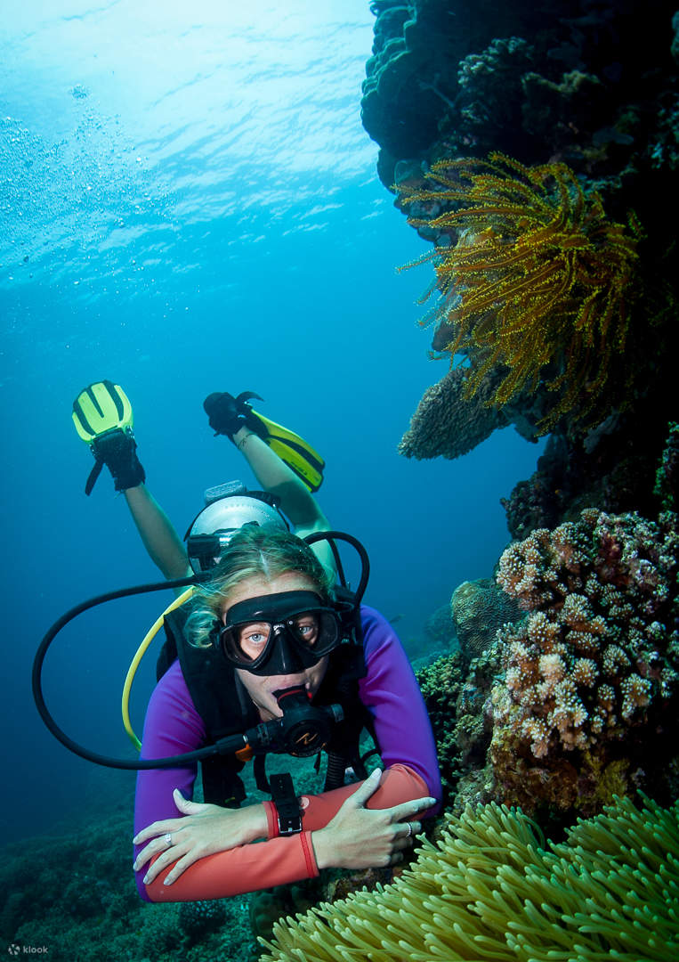 PADI Discover Scuba Diving in Negros with PADI 5 Star IDC Resort | Dive ...