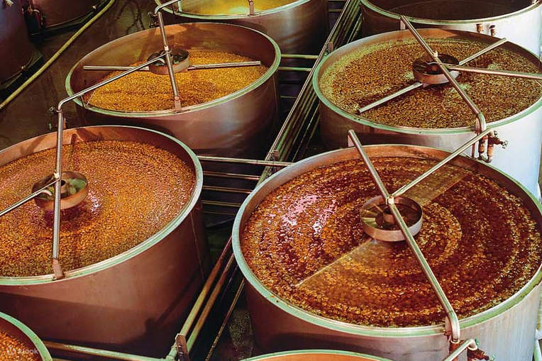 The Ginger Factory Tour And Tasting in Sunshine Coast - Klook United States