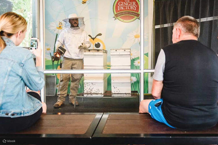 Live Bee Show And Tasting in Sunshine Coast - Klook