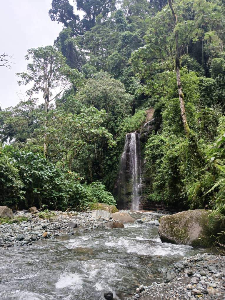 Napuru Waterfalls & Coffee Farm Day Tour - Klook United Kingdom