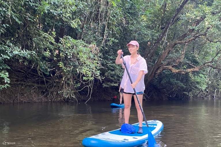 Rainforest Kayaking in Cairns - Klook Malaysia