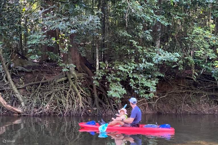 Rainforest Kayaking in Cairns - Klook