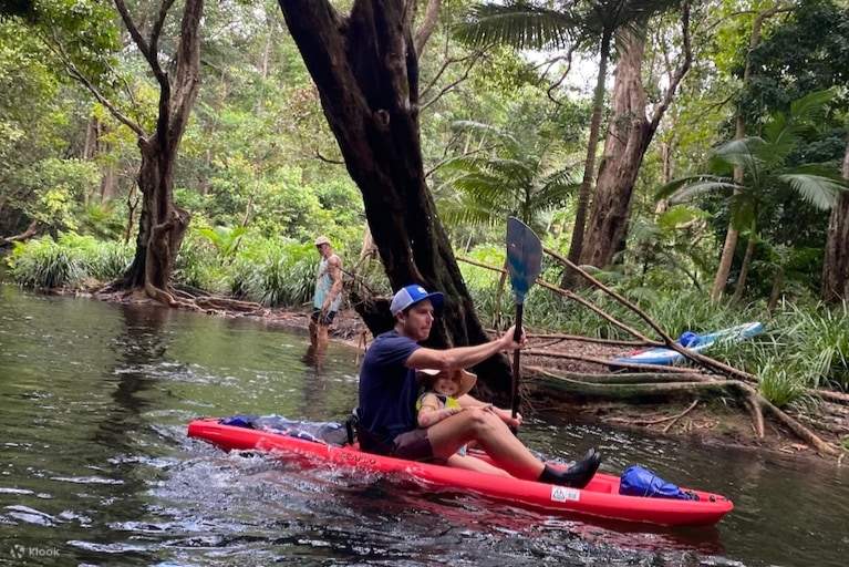 Rainforest Kayaking in Cairns - Klook