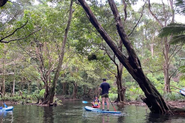 Rainforest Kayaking in Cairns - Klook