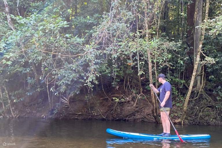 Rainforest Kayaking in Cairns - Klook