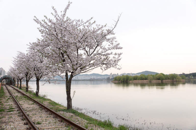 Jebu Island Sea Sightseeing Cable Car+Uiwang Railbike+Starlight Village ...