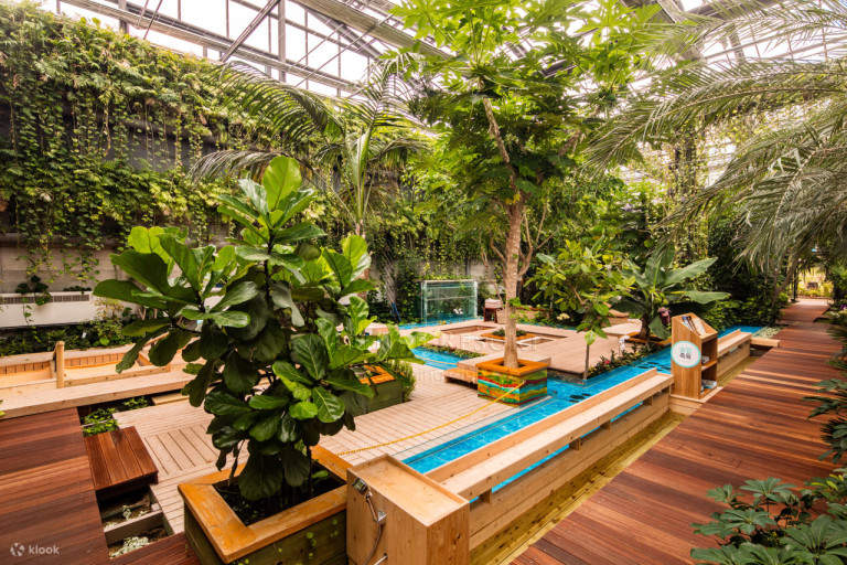 Gyeonggi-do Yangju Snowflake Festival Day Tour from Seoul - Klook