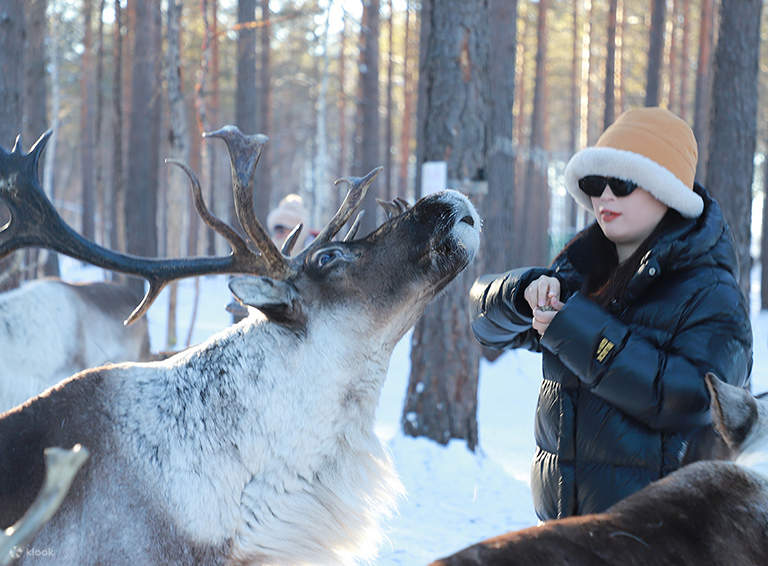 7-Day Snow Tour in Northeast Mohe & Snow Town (Harbin Departure/Return ...