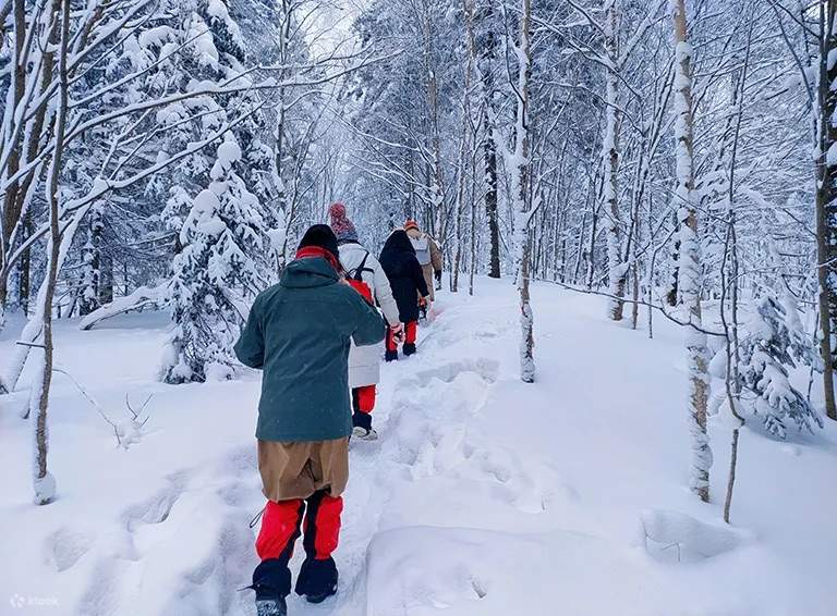 7-Day Harbin Snow Town Changbai Mountain Bus Tour in Northeast China ...