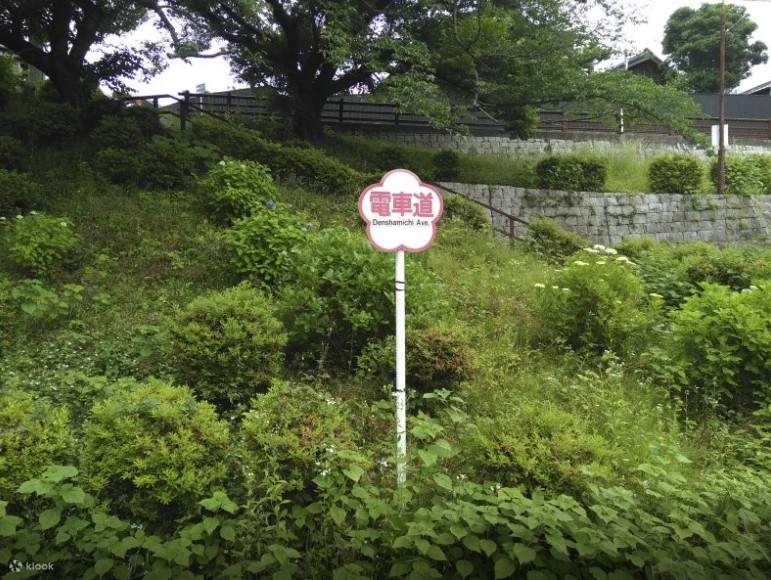 평온함 탐험 나리타산 신쇼지 사원 가이드 투어 클룩 Klook 한국