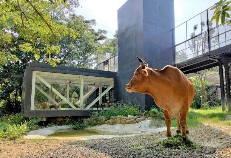 Tiket Masuk Kaohsiung Shoushan Zoo - Klook Indonesia