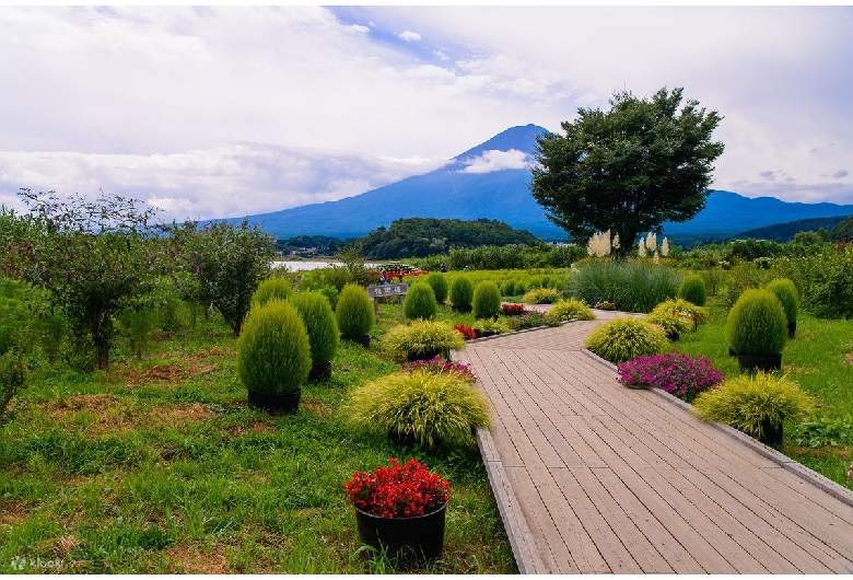 Mt. Fuji, Lake Kawaguchi, Arakurayama Sengen Park, Hikawa Watch Shop ...