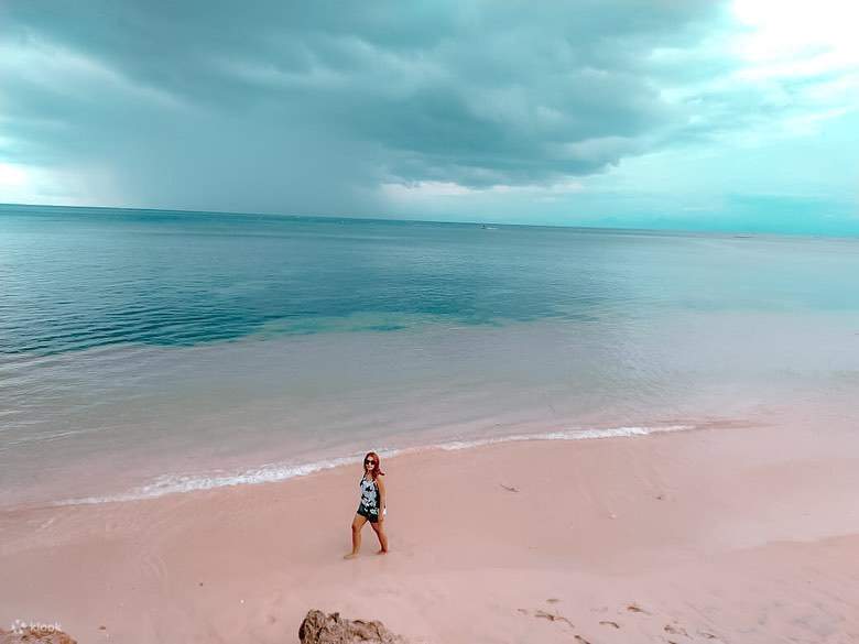 Day Tour Pantai Pink, Gili Petelu, dan Pantai Segui dari Lombok - Klook ...