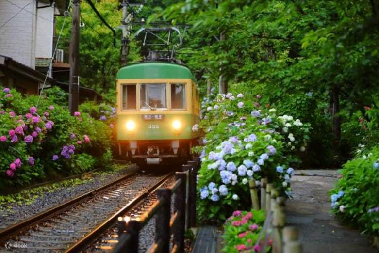 Kamakura Half Day Private Walking Tour - Klook
