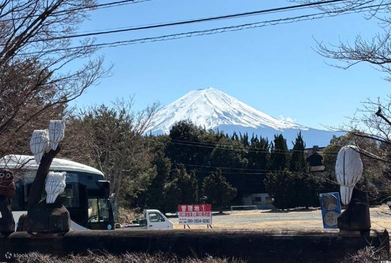 Mount Fuji and Lake Kawaguchiko Day Trip from Japan: Arakurayama Sengen ...