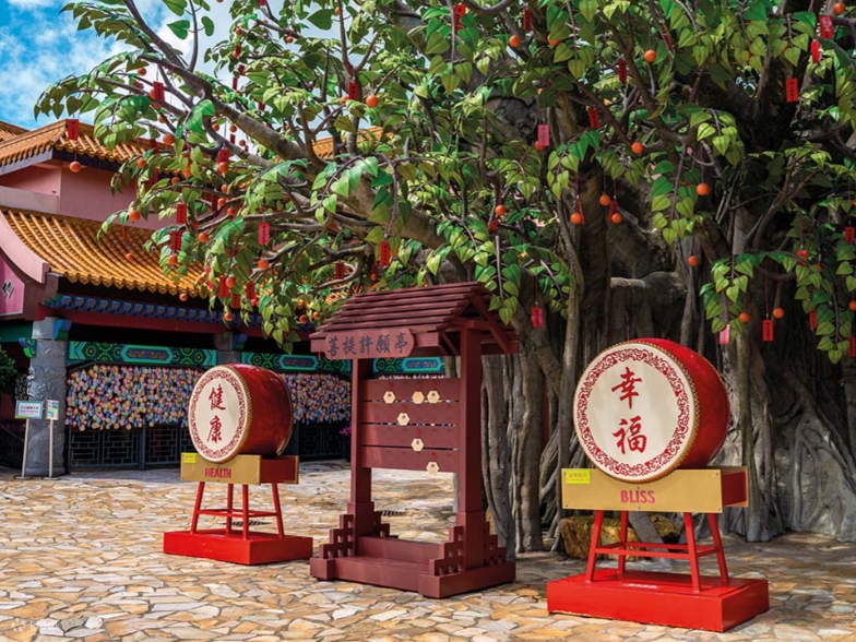 Hong Kong: Tai O Fishing Village Lantau Island Cable Car fast track ...