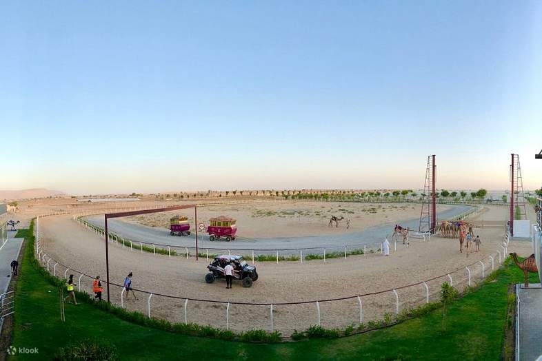 Pengalaman Balap Unta Kerajaan Dubai di Dubai - Klook Indonesia