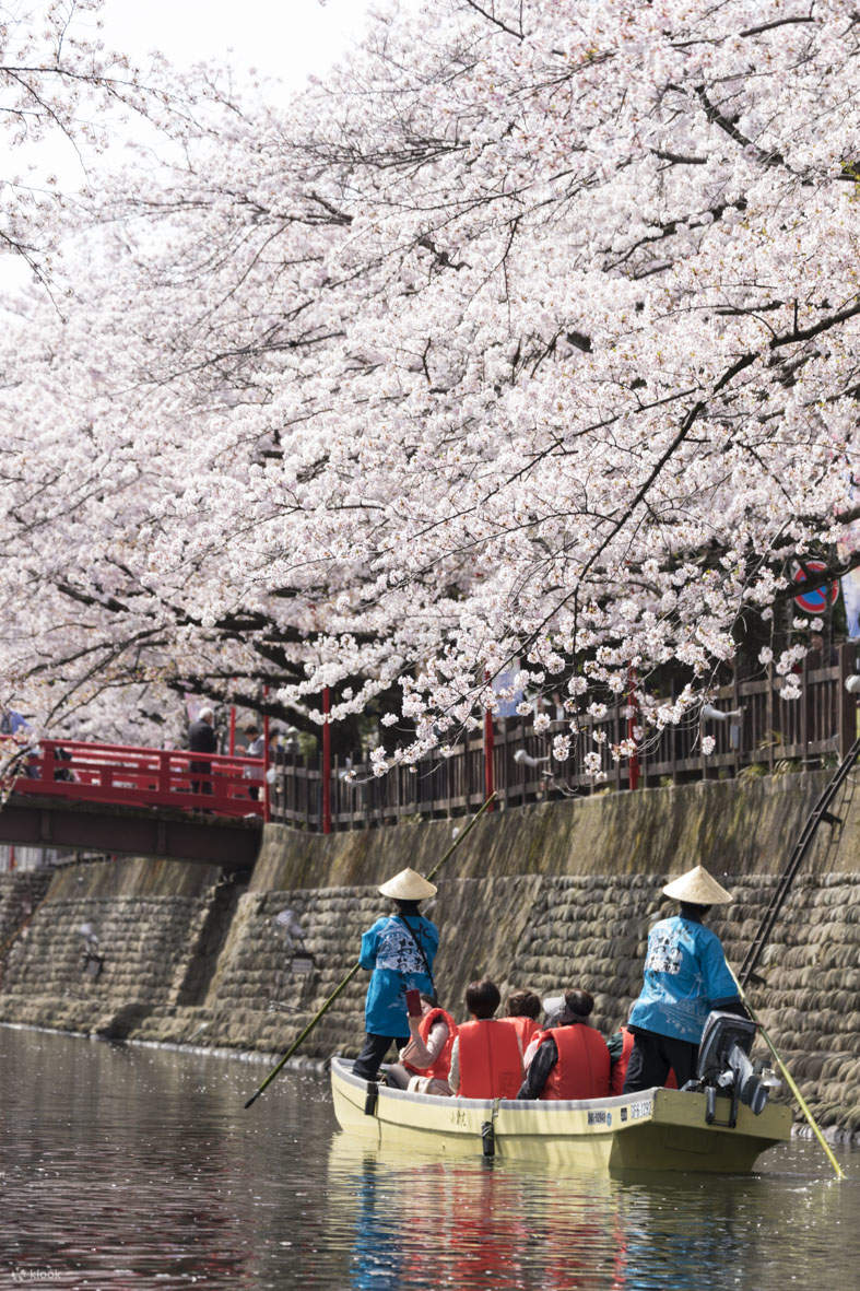 Amazing Sakura 1 Day Tour with Charter Train and Boat from Nagoya ...