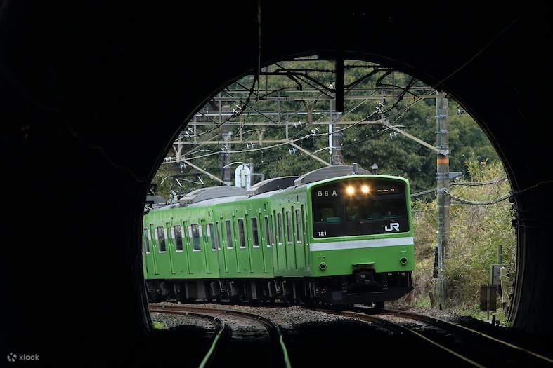 Minipass JR Kansai - Klook Stati Uniti