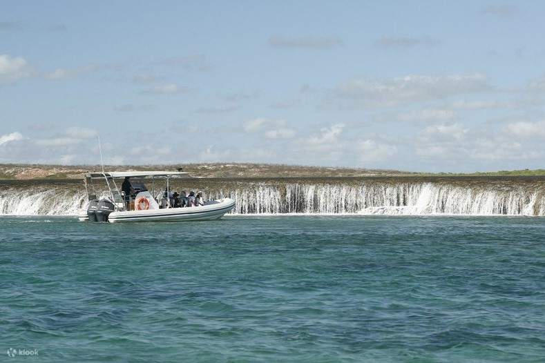 Waterfall Reef Sea Safari in Cygnet Bay - Klook