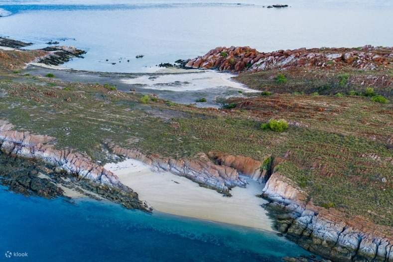 Island Explorer Sea Safari in Cygnet Bay - Klook Australia