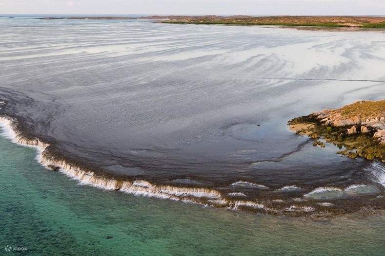 Waterfall Reef Sea Safari in Cygnet Bay - Klook