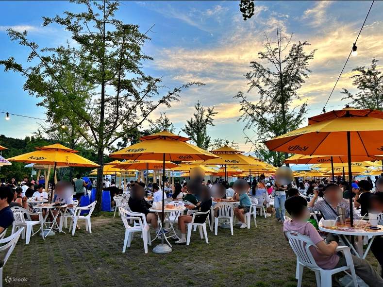 Hongcheon Starlight Music Beer Festival & Alpaca Pasture - Klook