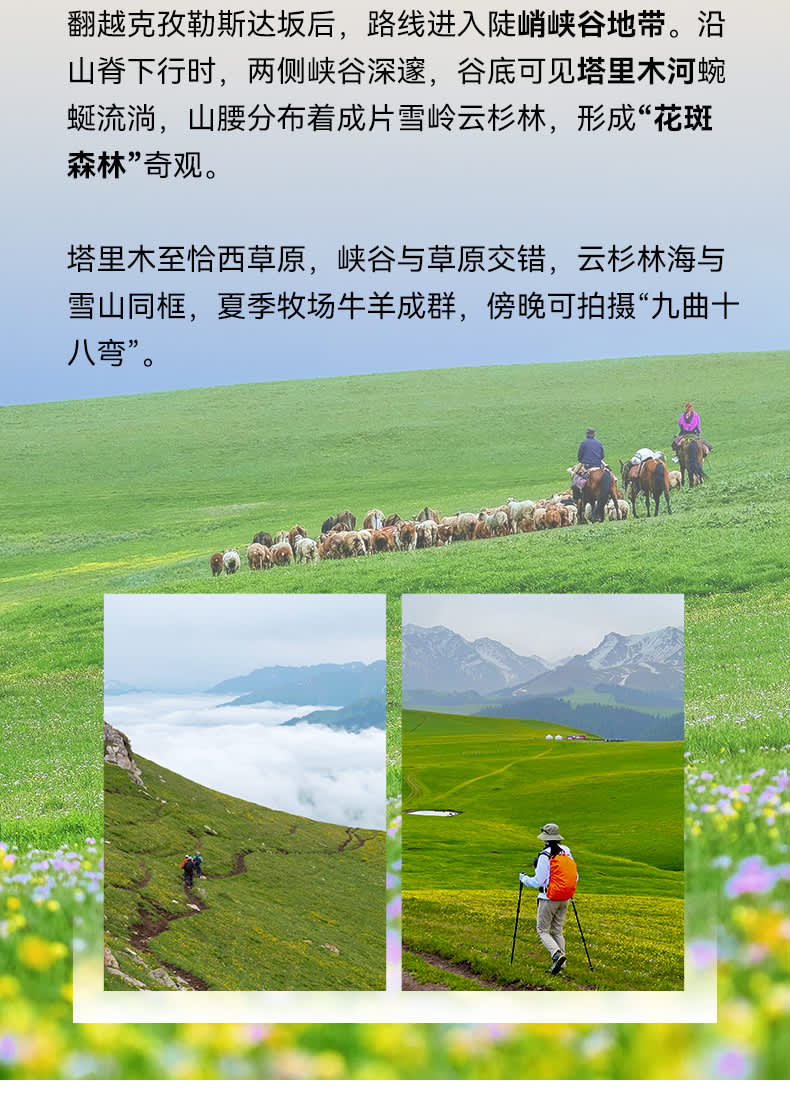 Xinjiang Kalajun Grand Loop Hiking 7-Day Tour (Specialized staff to set ...