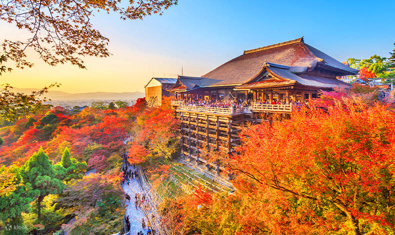 Kyoto Nara Day Trip │ Kiyomizu Temple + Fushimi Inari Taisha Shrine ...