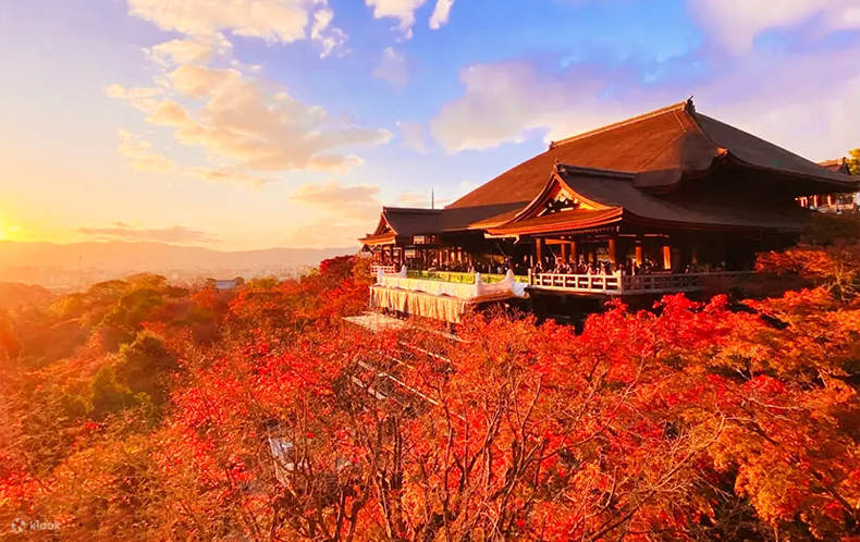 Perjalanan Sehari Kyoto Nara │ Kuil Kiyomizu + Kuil Fushimi Inari ...