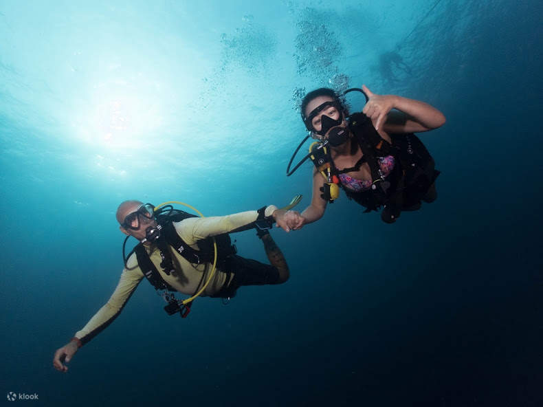 Discover Scuba Diving in Koh Tao with PADI 5 Star IDC Resort - Explore ...