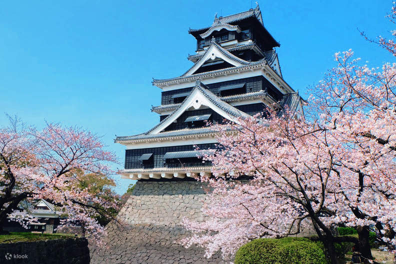 Kumamoto Castle, Aso Crater, and Kamishiromi Kumanoza Shrine Day Tour ...