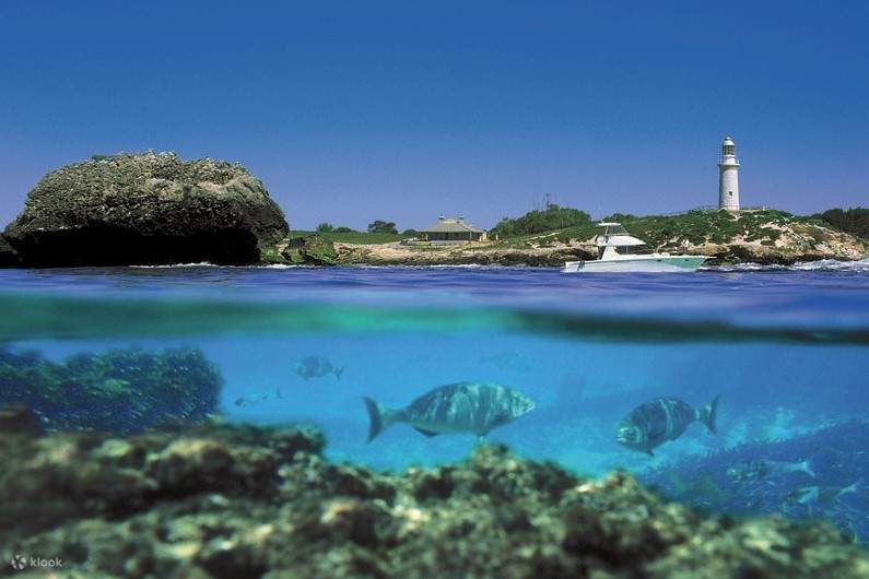 Transportasi Ferry Rottnest Island - Klook Indonesia