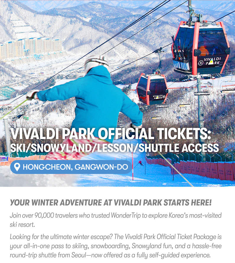 Vivaldi Park Snowy Land One Day Self Guided Tour in Gangwon-do - Klook